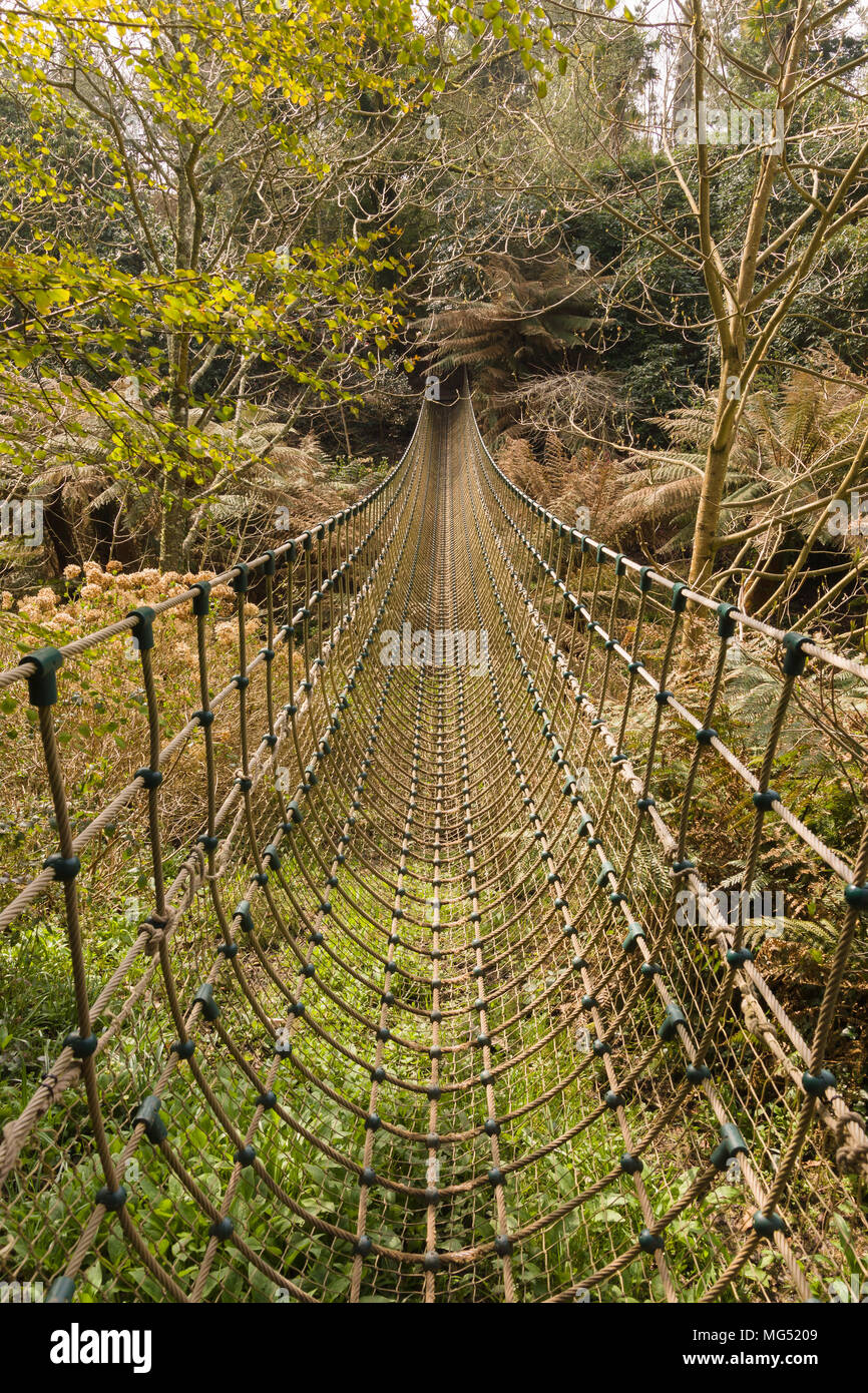 Burma jungle hi-res stock photography and images - Alamy