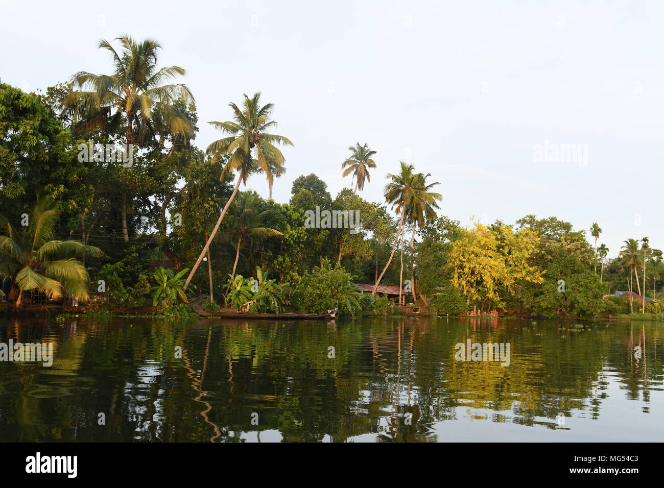 Scenes of Kerala southern India Stock Photo - Alamy