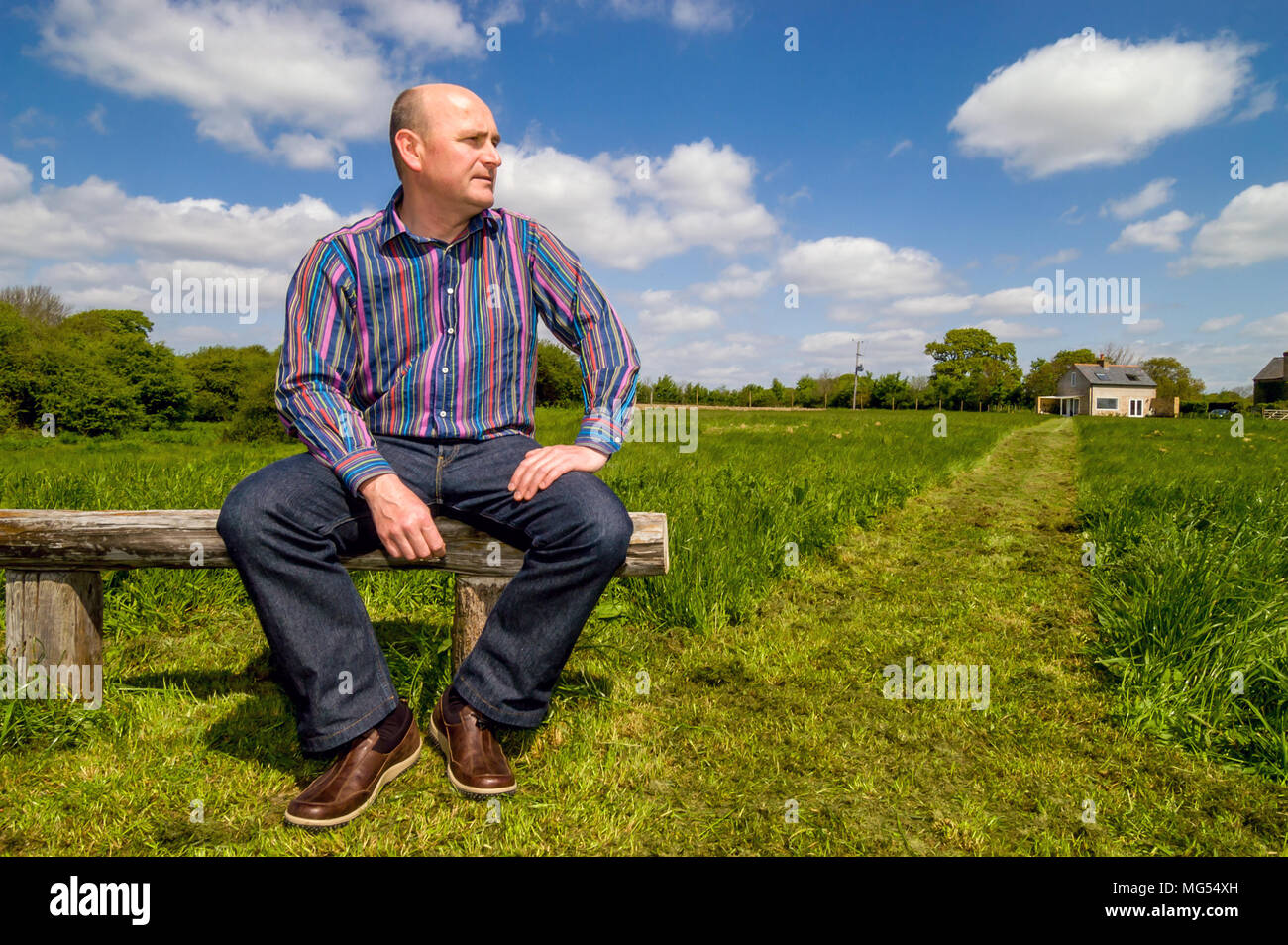 Designer Paul Priestman at his home in the New Forest Stock Photo - Alamy