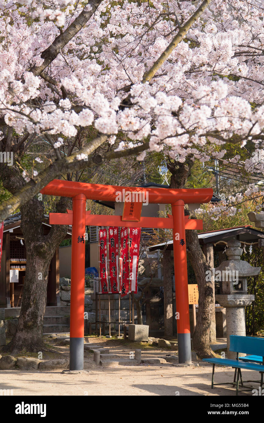 Cherry blossom at Kitano Tenman shrine, Kobe, Kansai, Japan Stock Photo ...