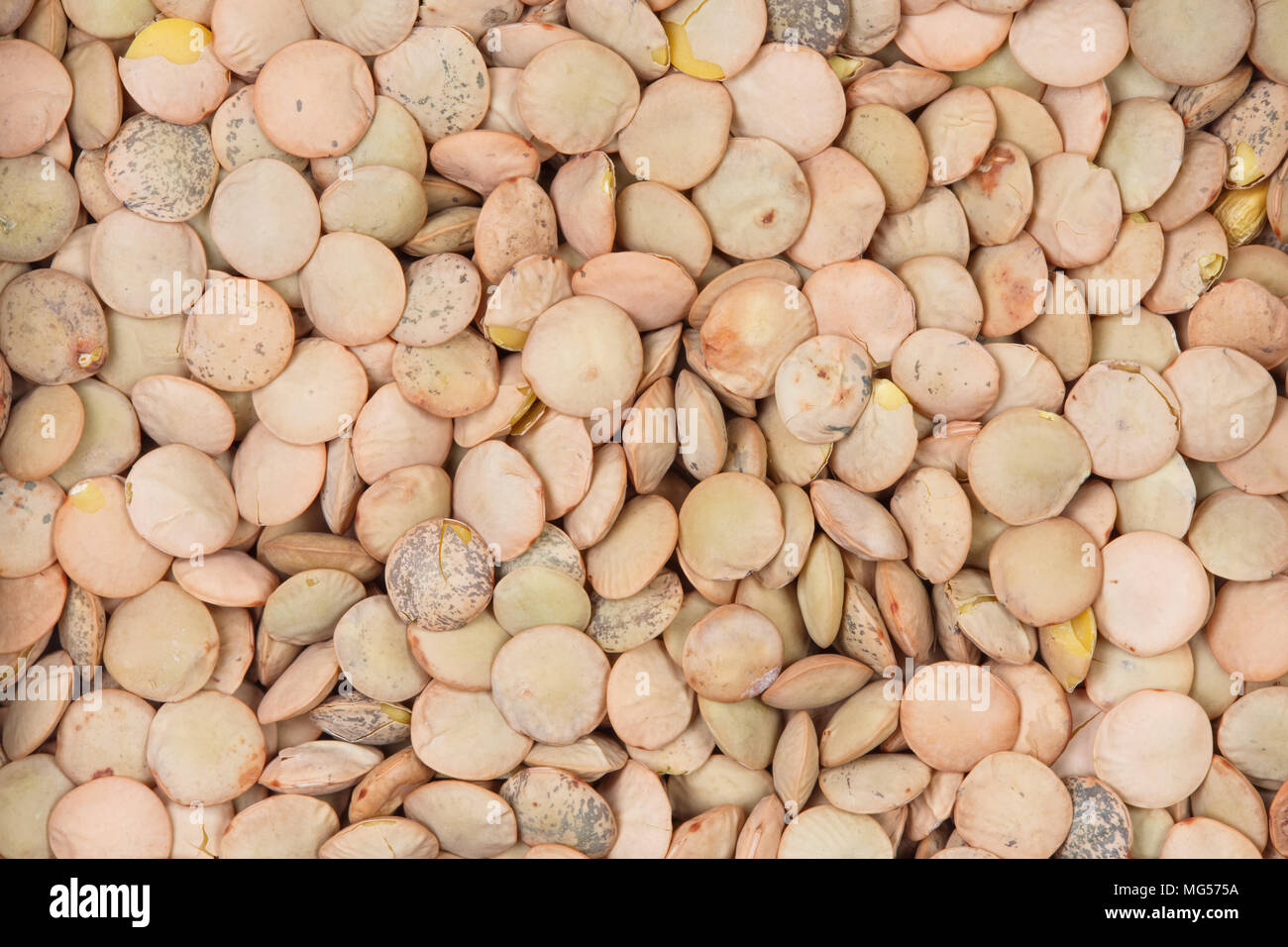 Lentils background on macro. High resolution photo Stock Photo - Alamy