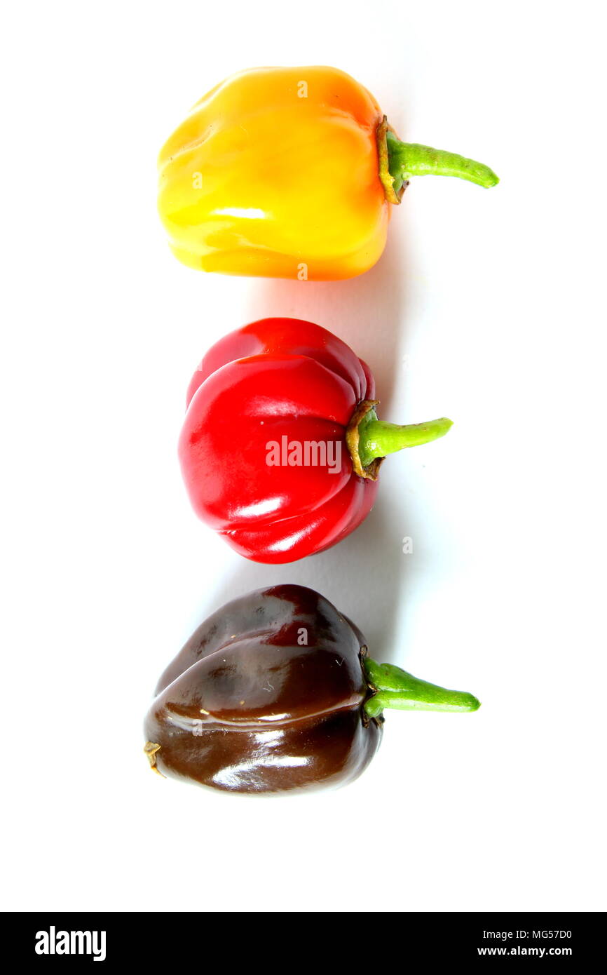fresh colorful habanero chili peppers isolated on a white background ...