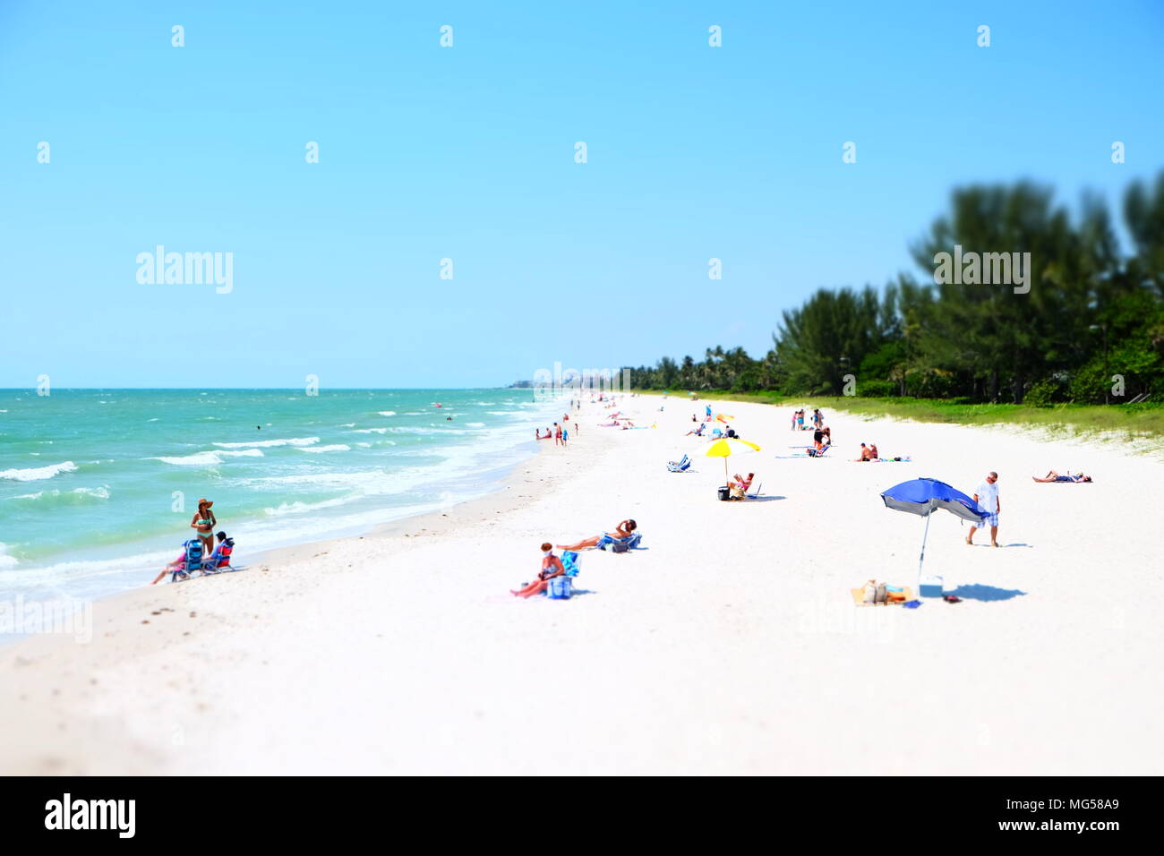 Beach fun in Florida Stock Photo - Alamy