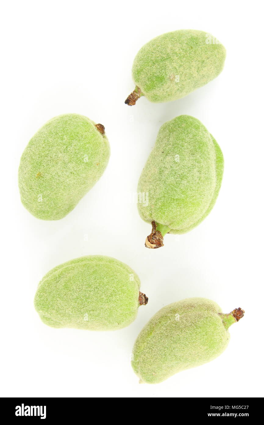 composition of fresh green almond fruits isolated on a white background ...