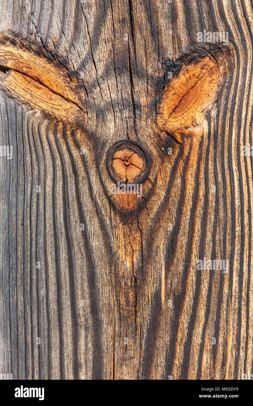 Ancient Wood texture background Stock Photo - Alamy