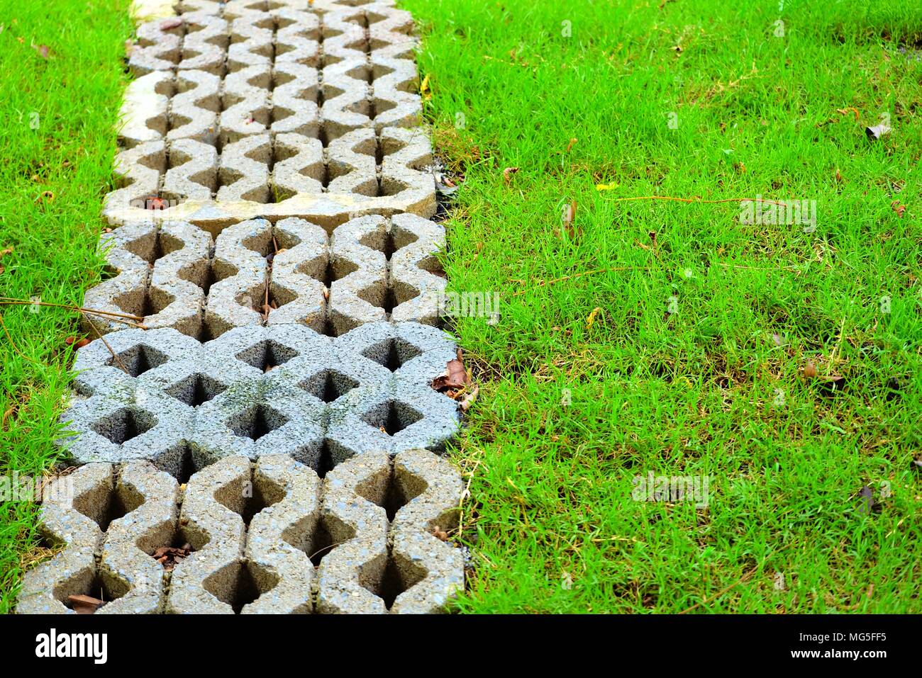 Pathway in Field Grass Stock Photo - Alamy