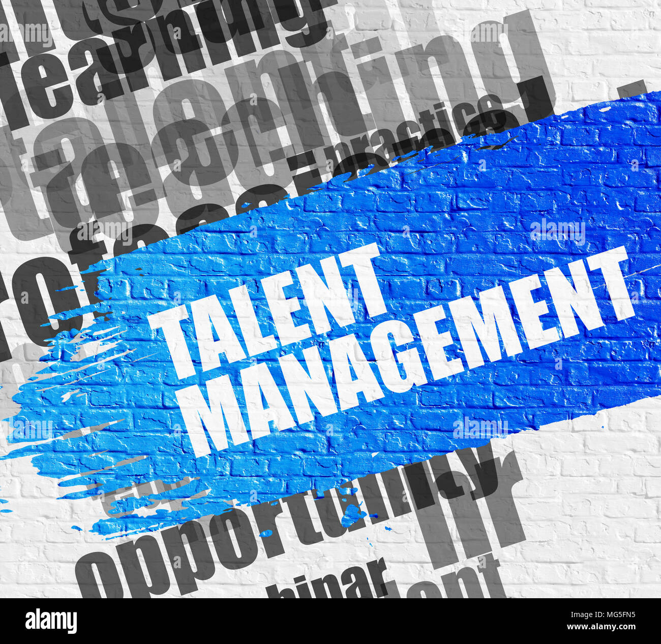 Talent Management on White Brickwall Stock Photo - Alamy
