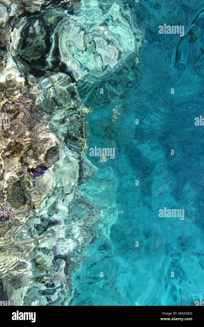Red sea, coral Stock Photo - Alamy