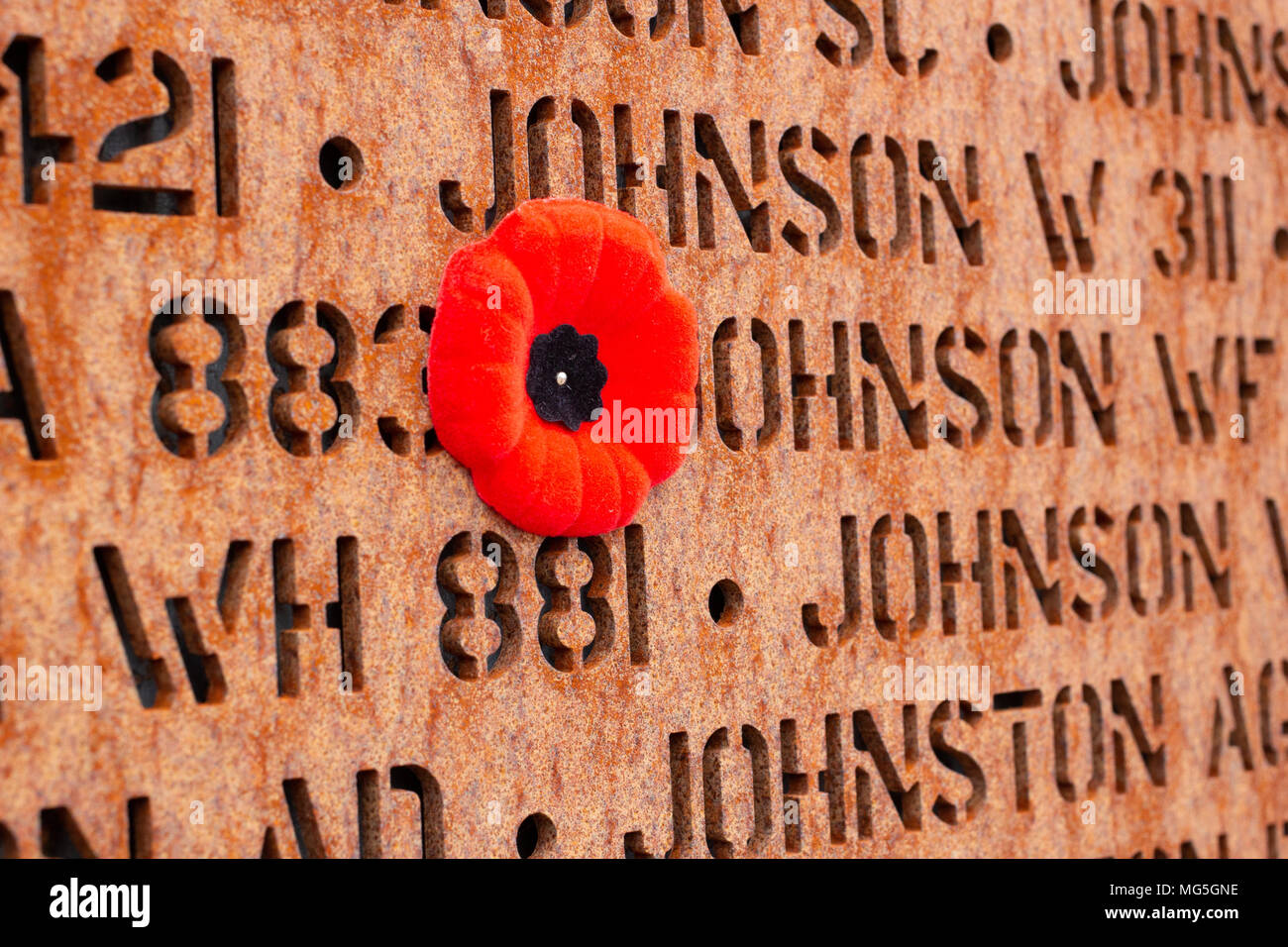 Centre of a poppy hi-res stock photography and images - Alamy