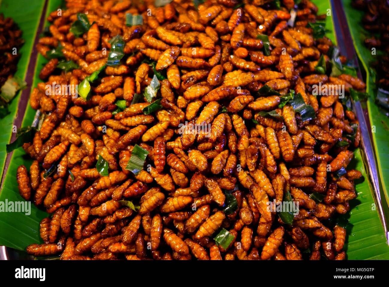Fried Silkworm Pupae, A Famous Thai Street Food Recipe Stock Photo - Alamy