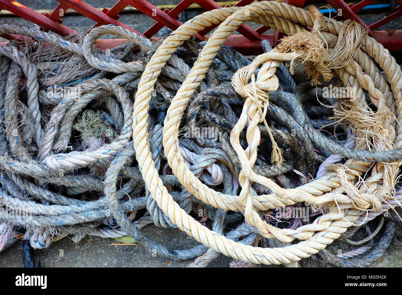 Old Rope on Ground Stock Photo - Alamy