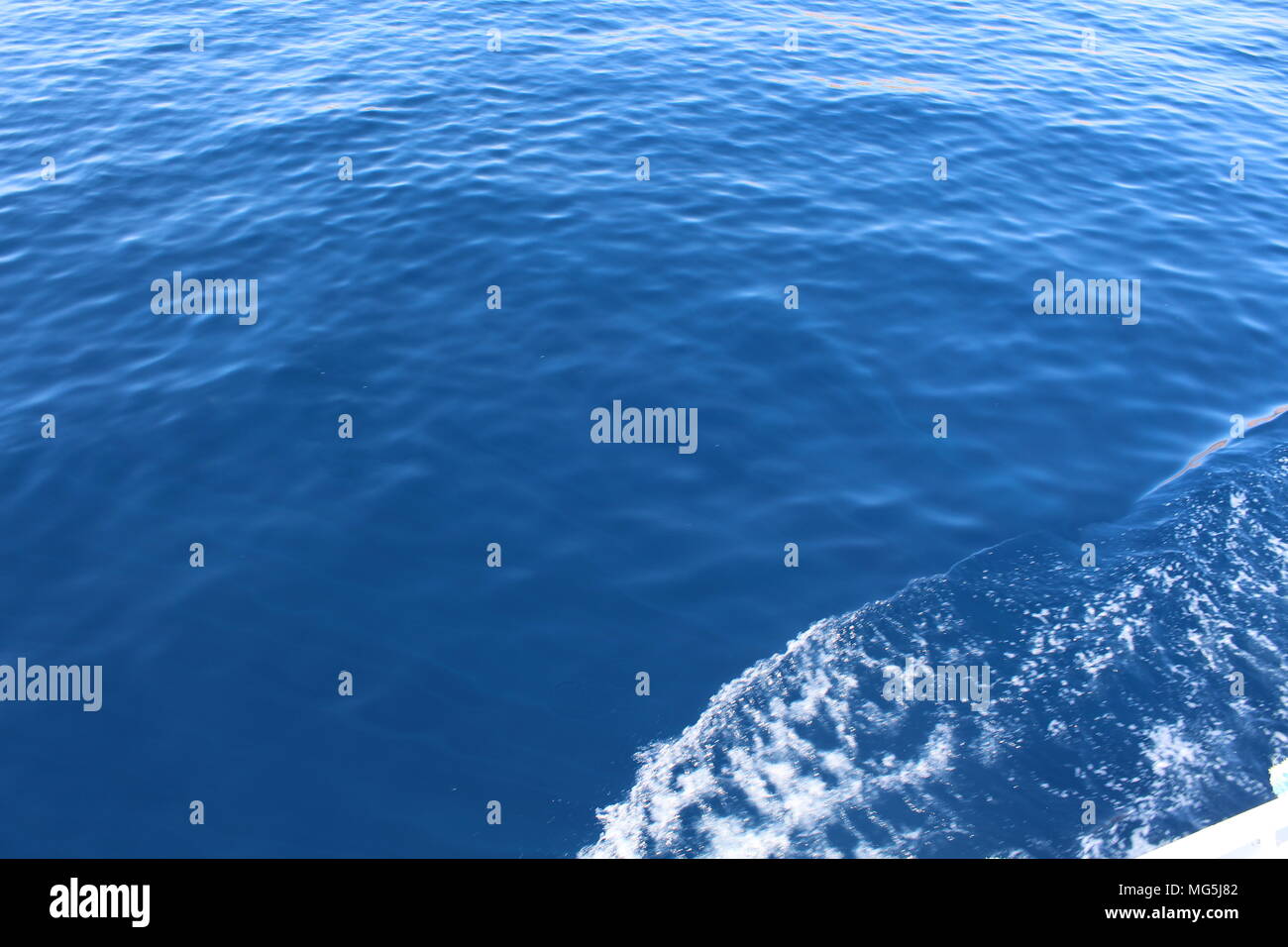 Blue and clean red sea in Egypt Stock Photo - Alamy