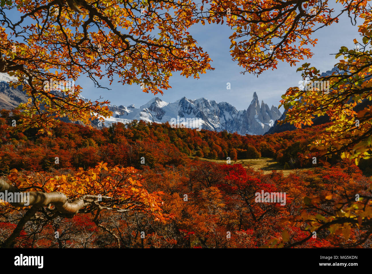 Bright colors of autumn and landscapes of the park Los Glaciares. Fall ...