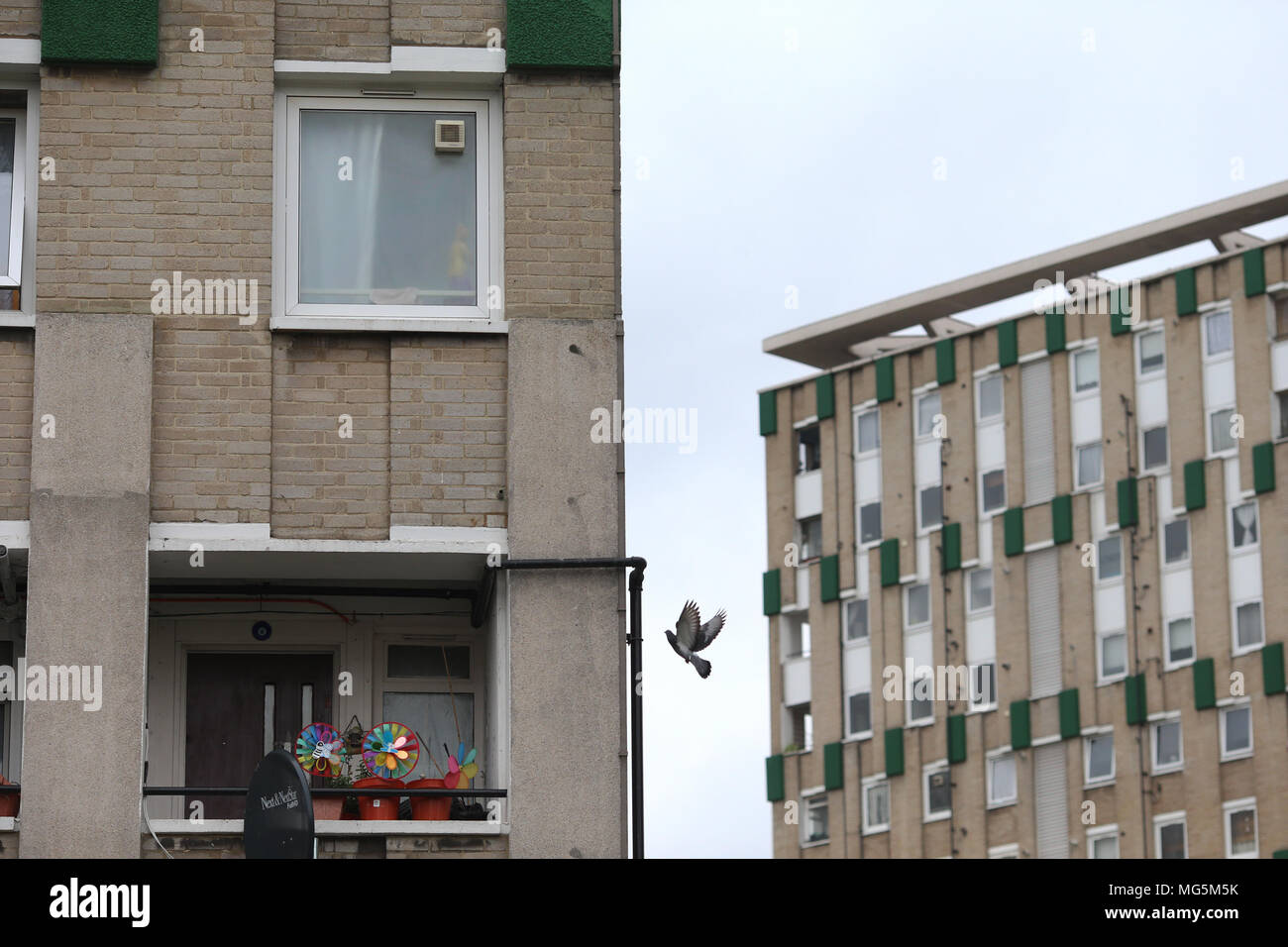 Tower blocks of flats in East London Stock Photo - Alamy