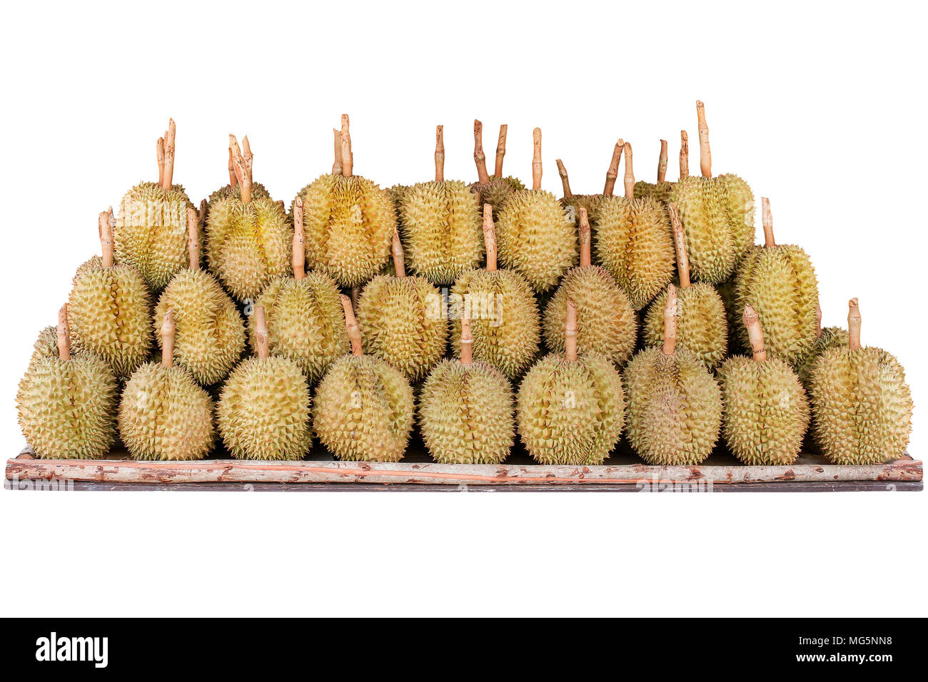 durian fruit arranged on wood shelf isolated white background Stock ...