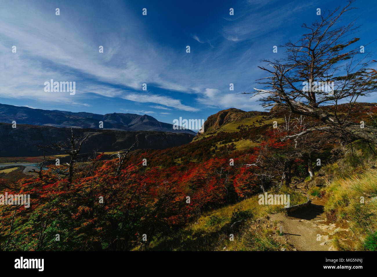 Bright colors of autumn and landscapes of the park Los Glaciares. Fall ...