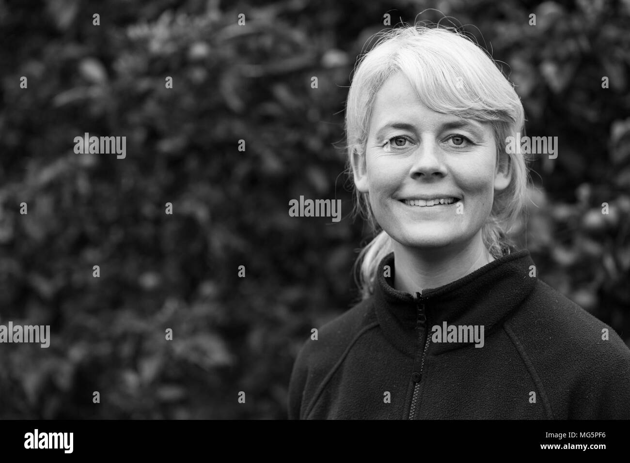 Apple varieties. Apple County Cider Stock Photo - Alamy