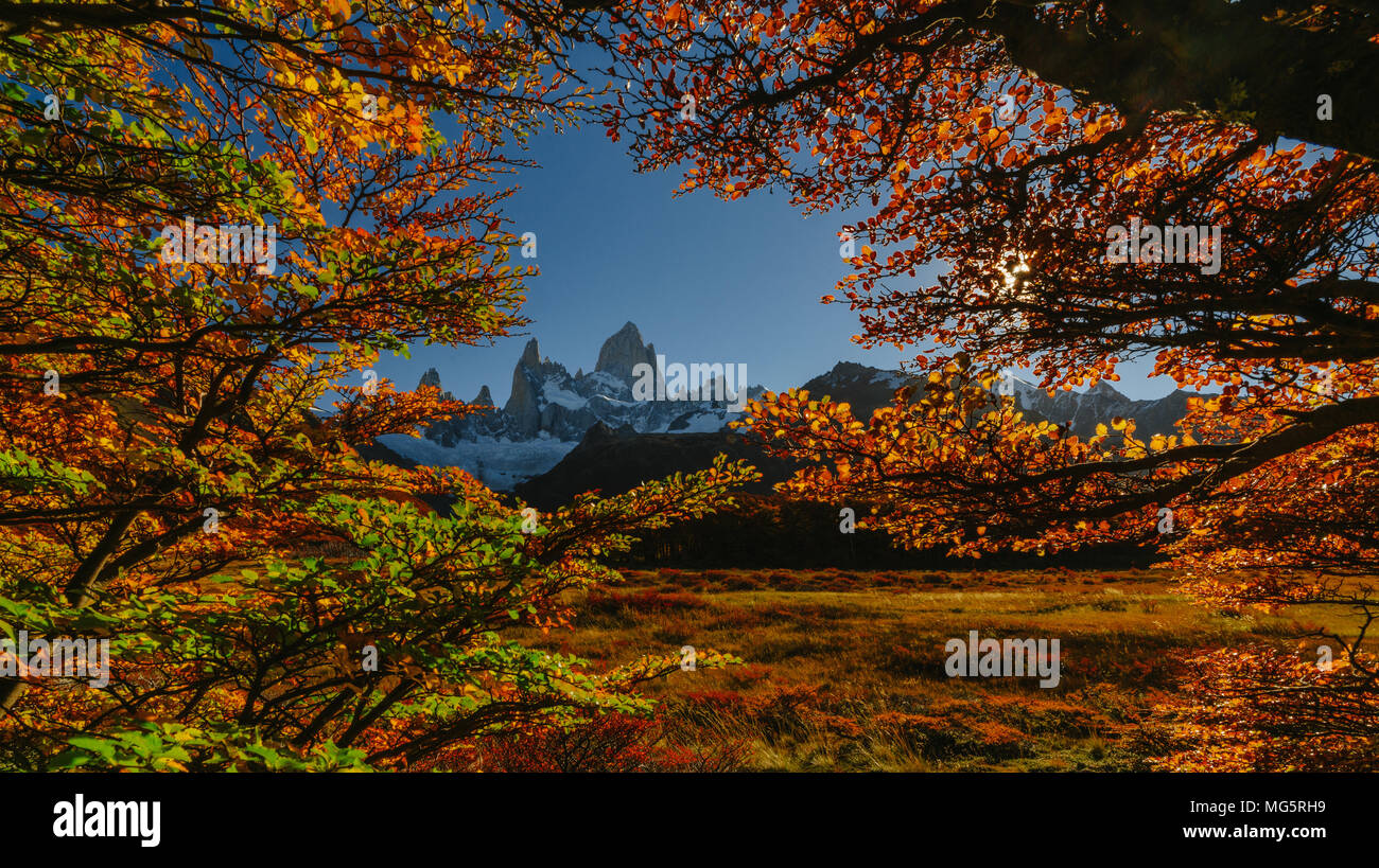 Bright colors of autumn and landscapes of the park Los Glaciares. Fall ...