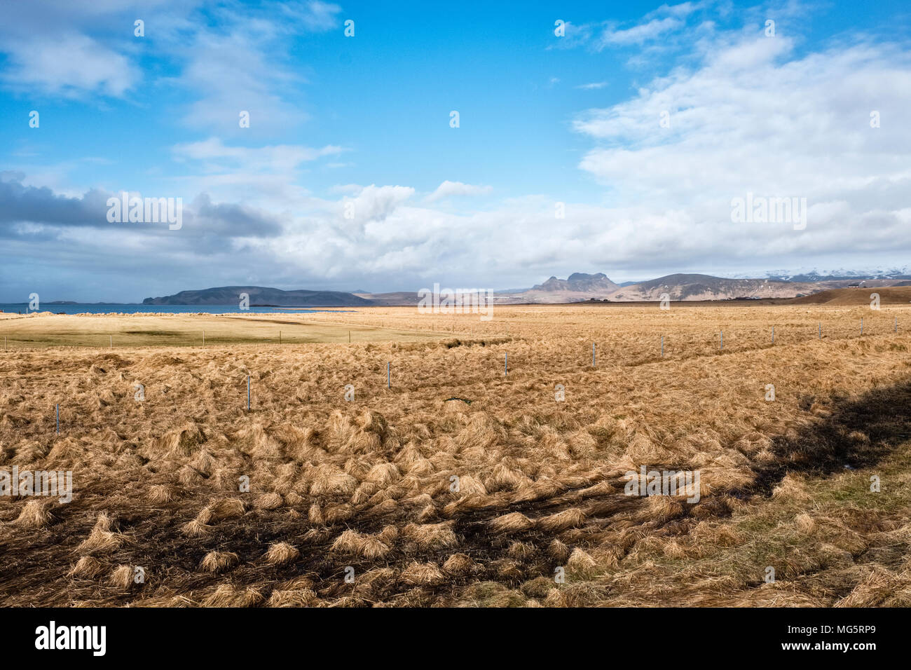 Reynisfjara, South Iceland. Farmland near the famous beach Stock Photo ...