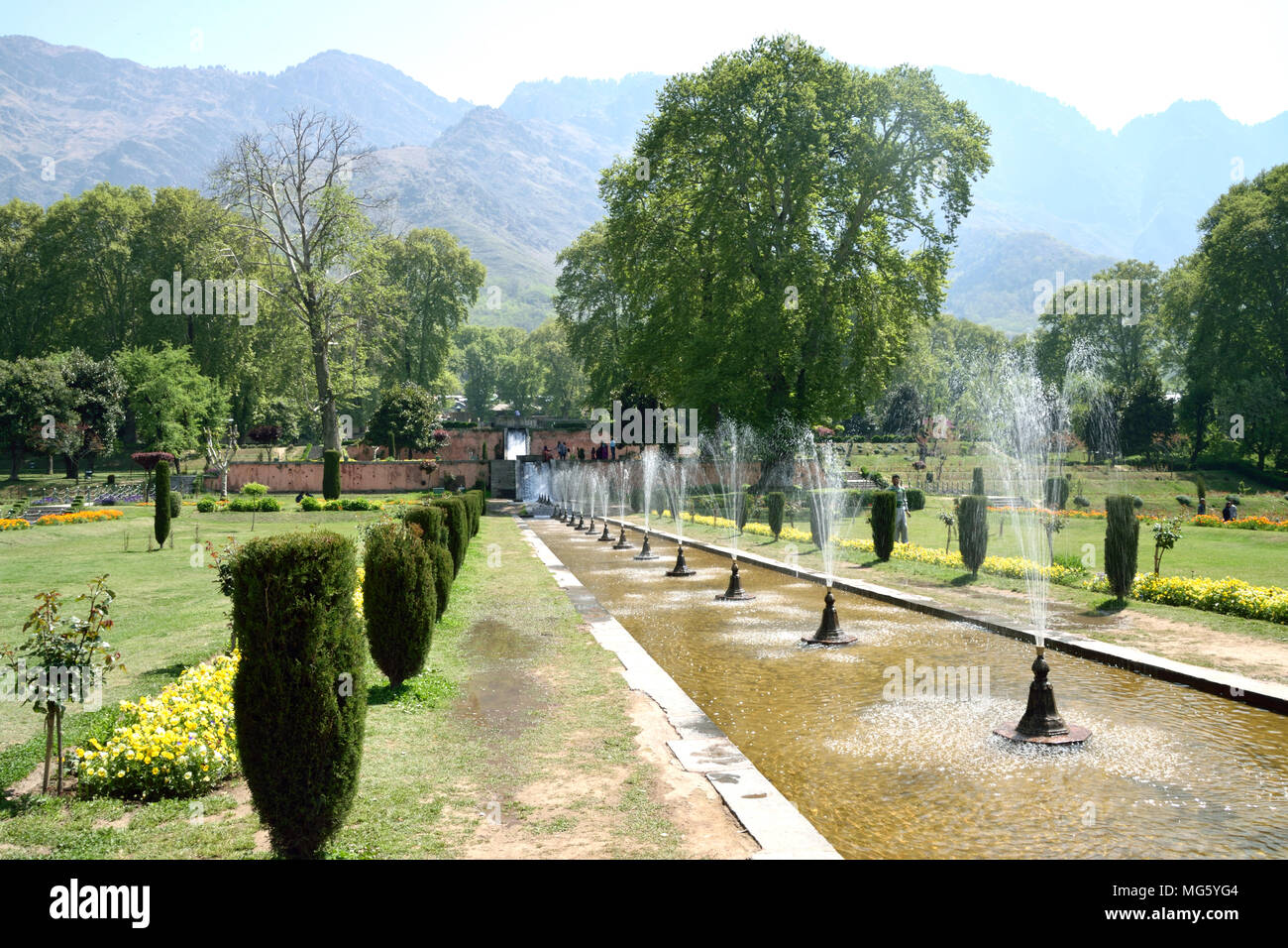 Flowers of the kashmir valley hi-res stock photography and images - Alamy