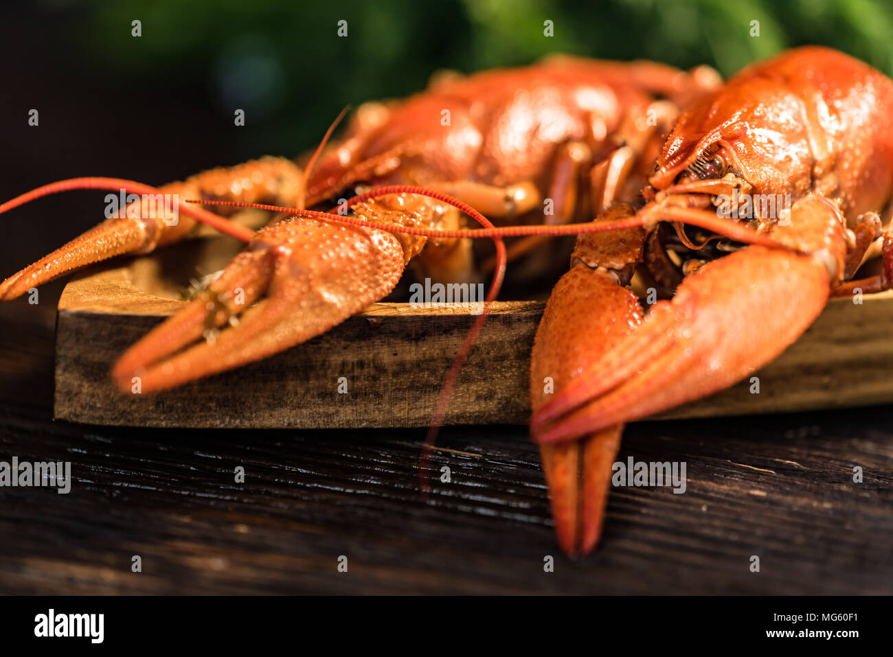 Crawfish claw hi-res stock photography and images - Alamy
