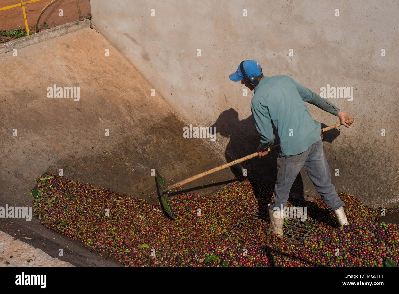 Coffee processing machine hi-res stock photography and images - Alamy
