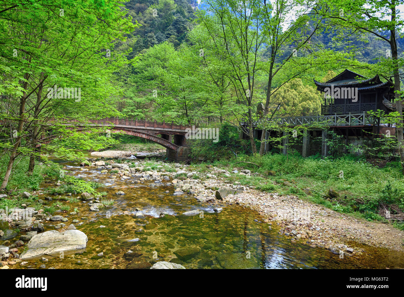 Little Heaven in The Forest Stock Photo - Alamy
