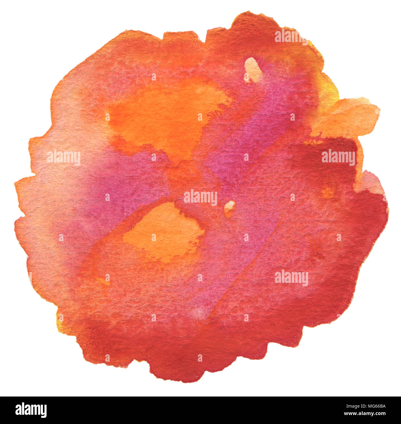 Watercolor painted background. Isolated. Paper texture Stock Photo - Alamy