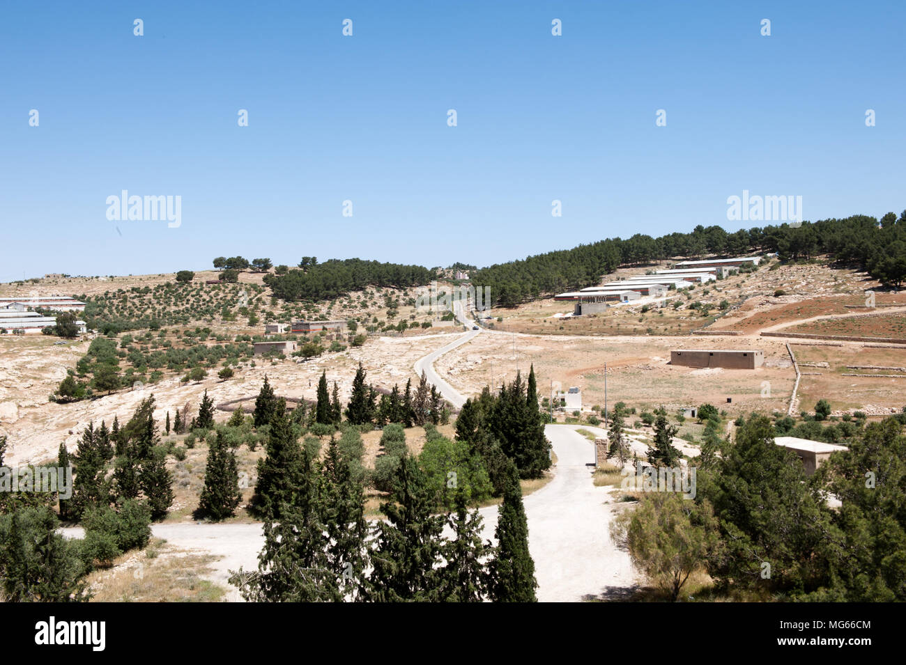 Holy Land, view from the Mount Nebo, the place where Moses was granted ...