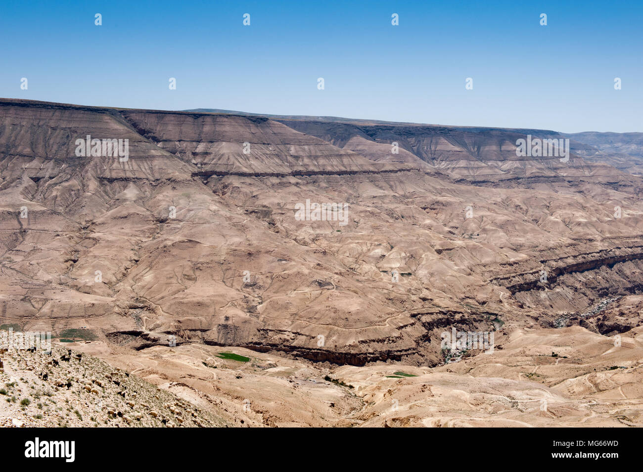 Nature of the desert of Jordan Stock Photo - Alamy