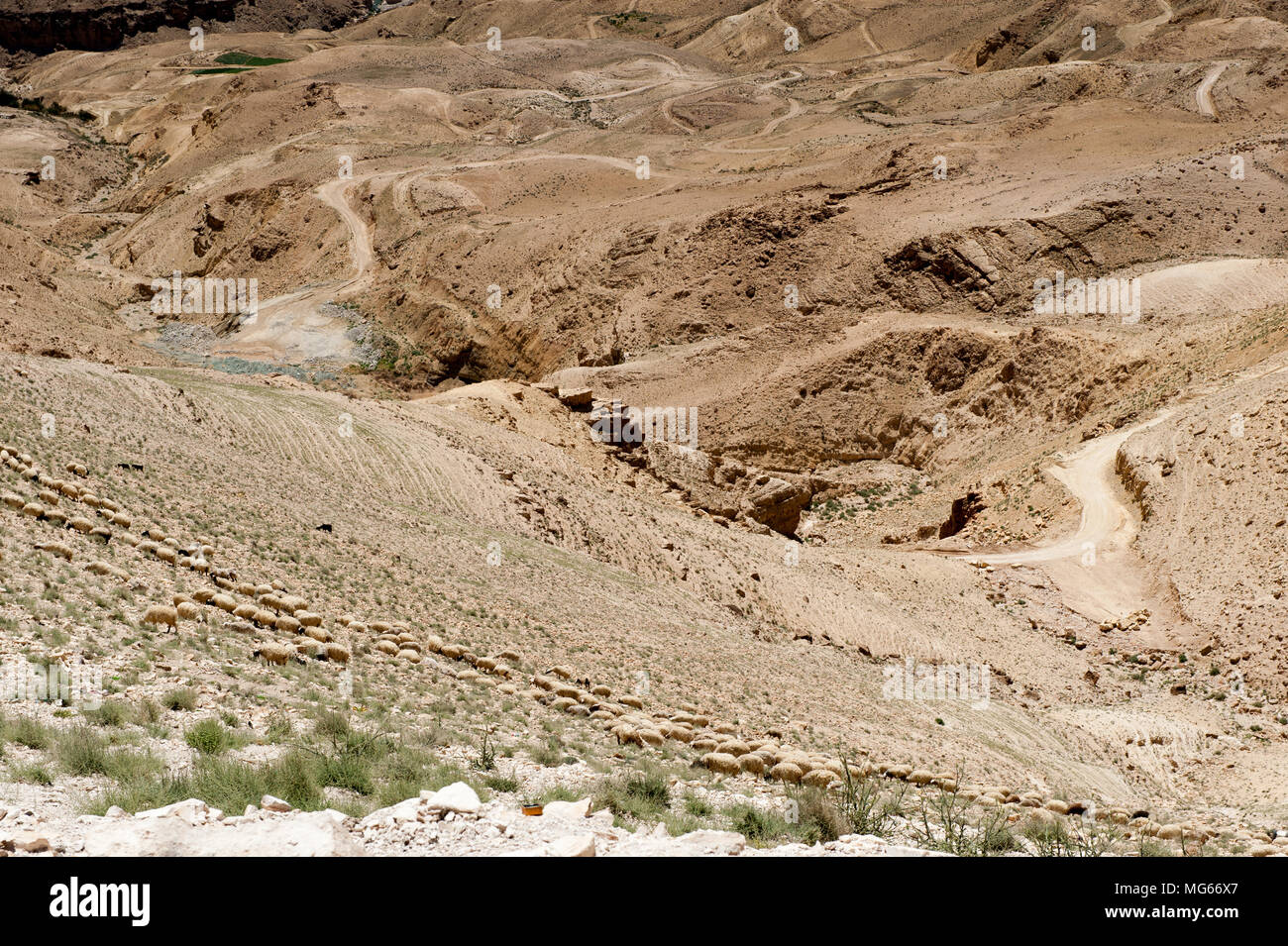 Nature of the desert of Jordan Stock Photo - Alamy