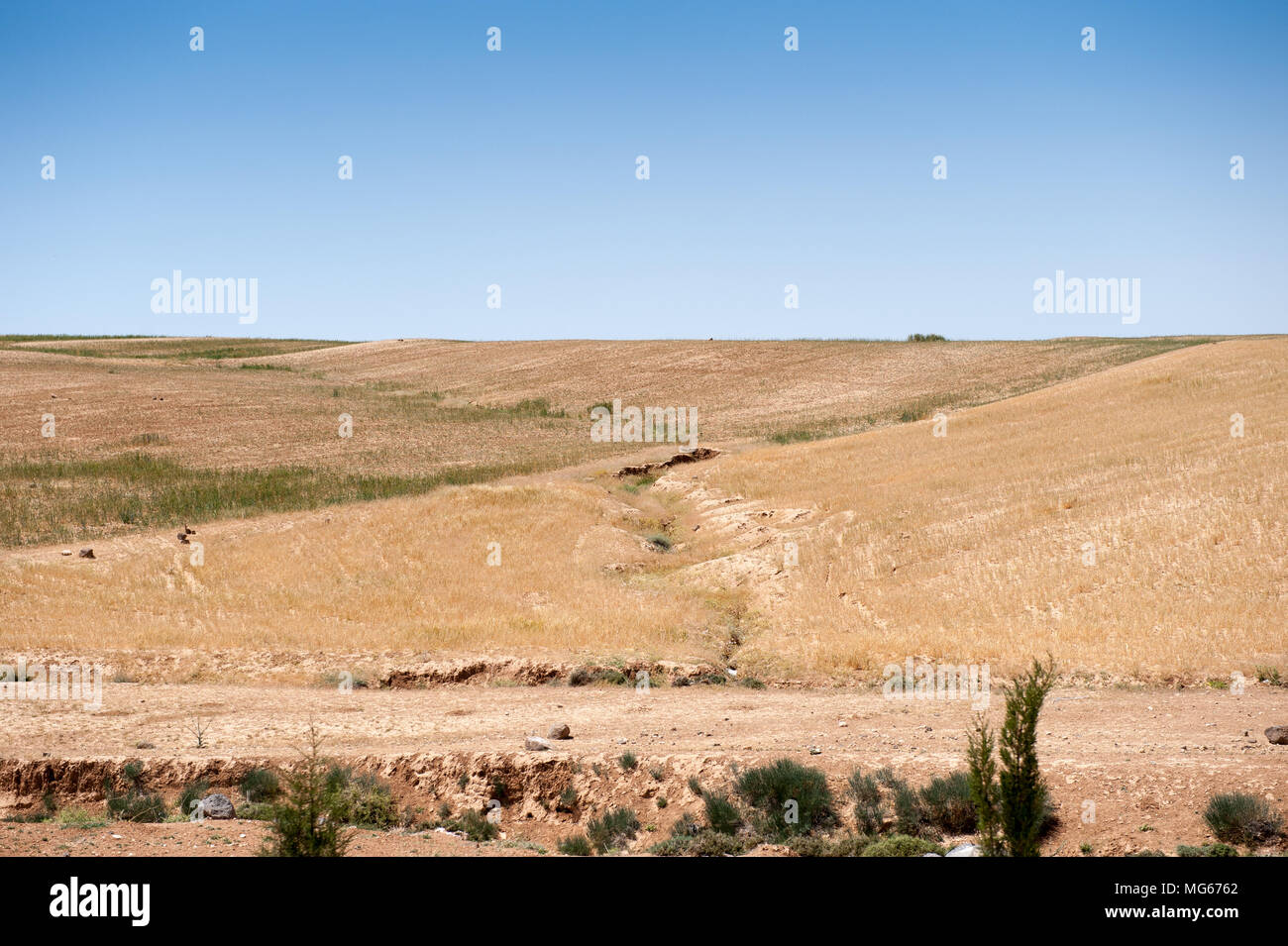 Beautiful nature of a desert Stock Photo - Alamy