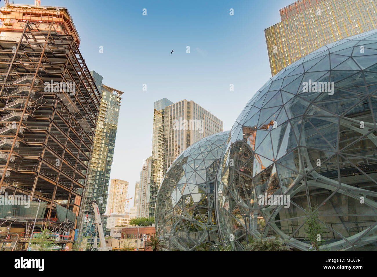 The Amazon Company world headquarters Spheres terrarium green houses ...