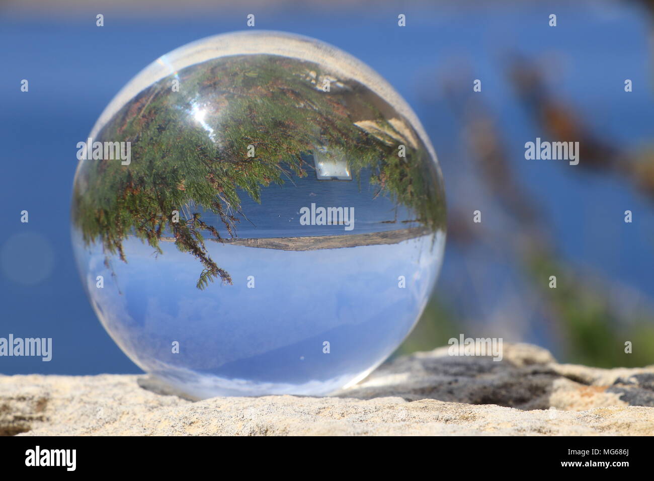 Nature reverse hi-res stock photography and images - Alamy