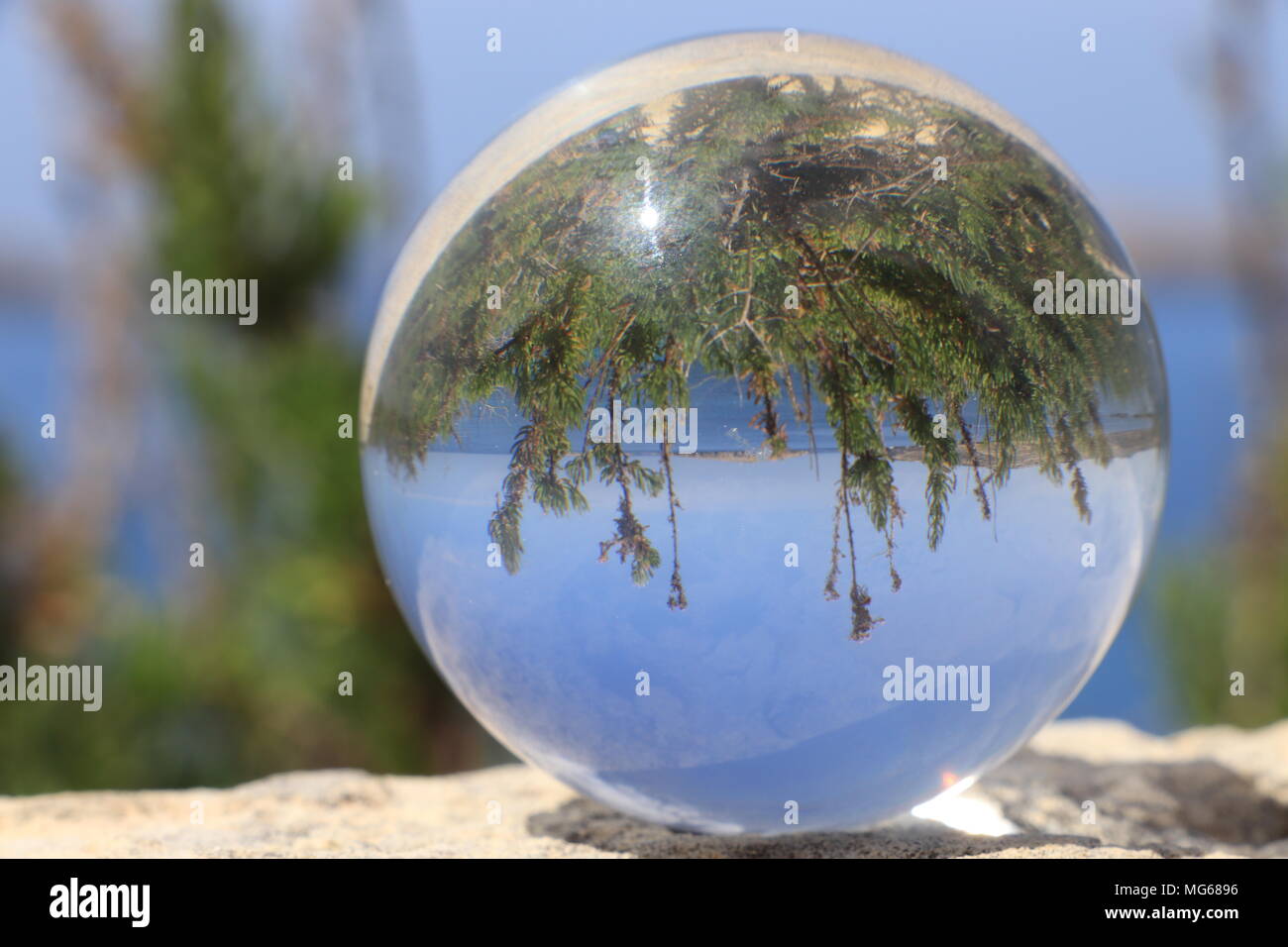 Nature reverse hi-res stock photography and images - Alamy