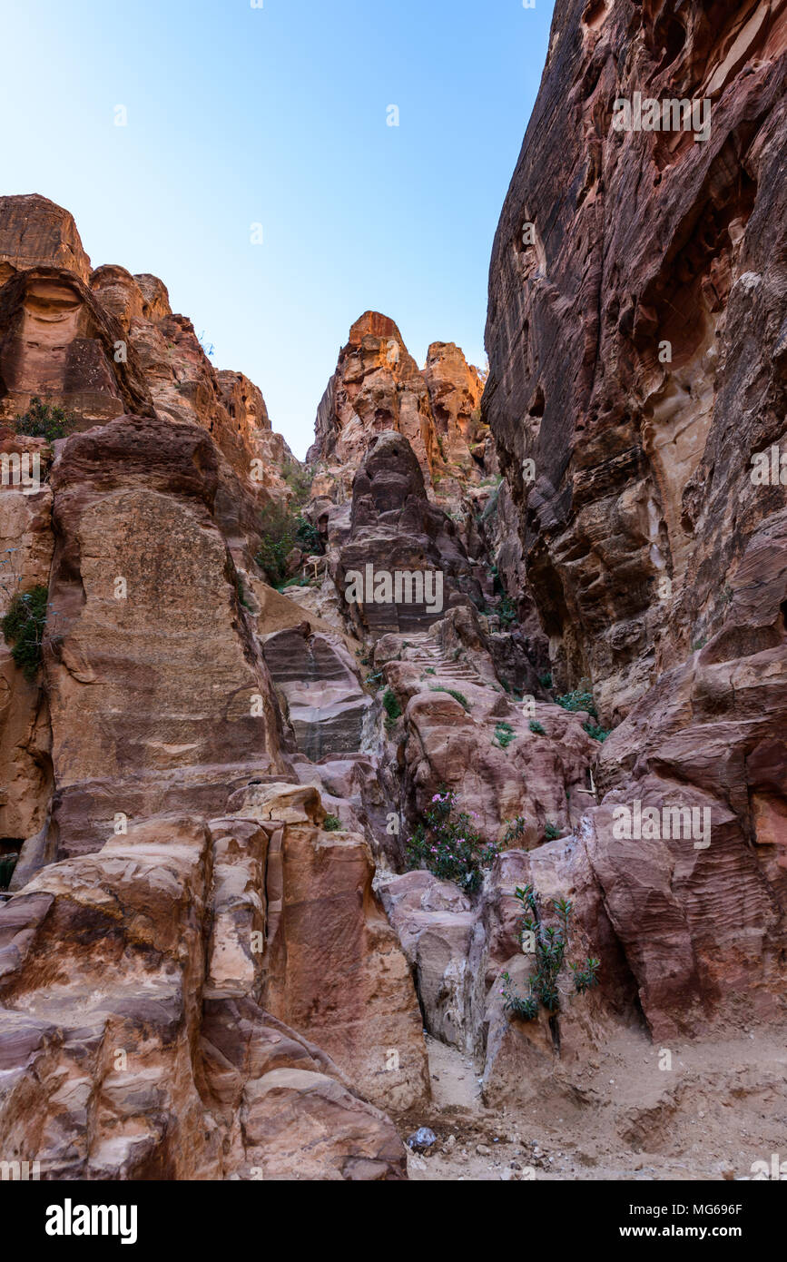 Ancient rock cut architecture of Petra, Jordan. Petra is one the New ...