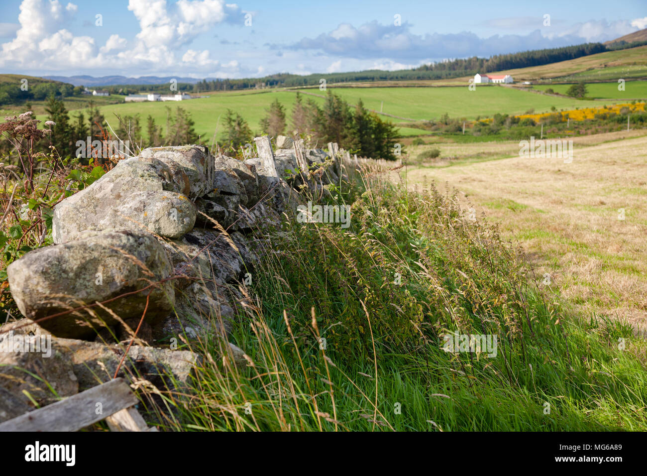 Drystane dyke hi-res stock photography and images - Alamy