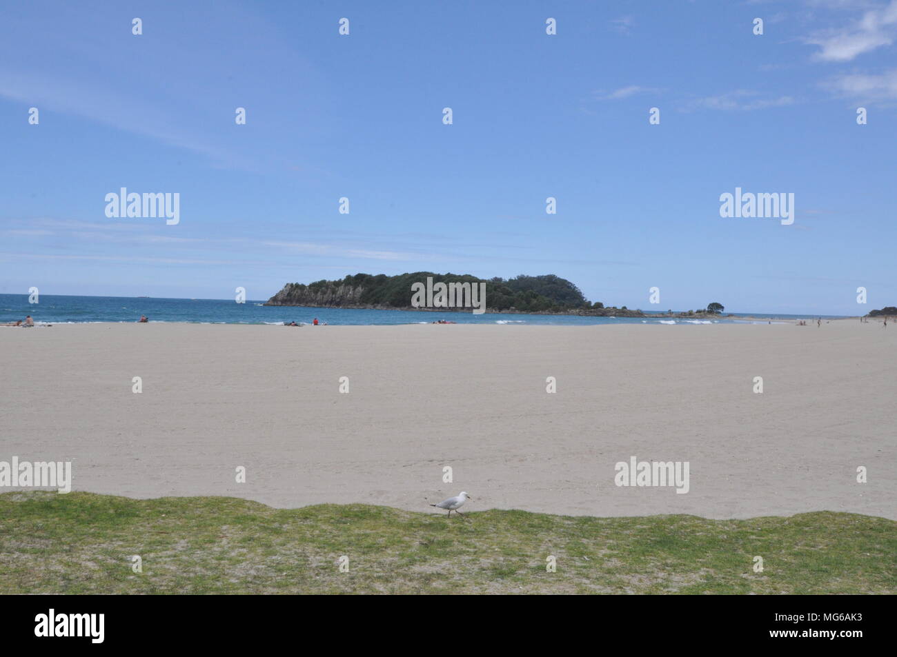 Princess bay new zealand hi-res stock photography and images - Alamy