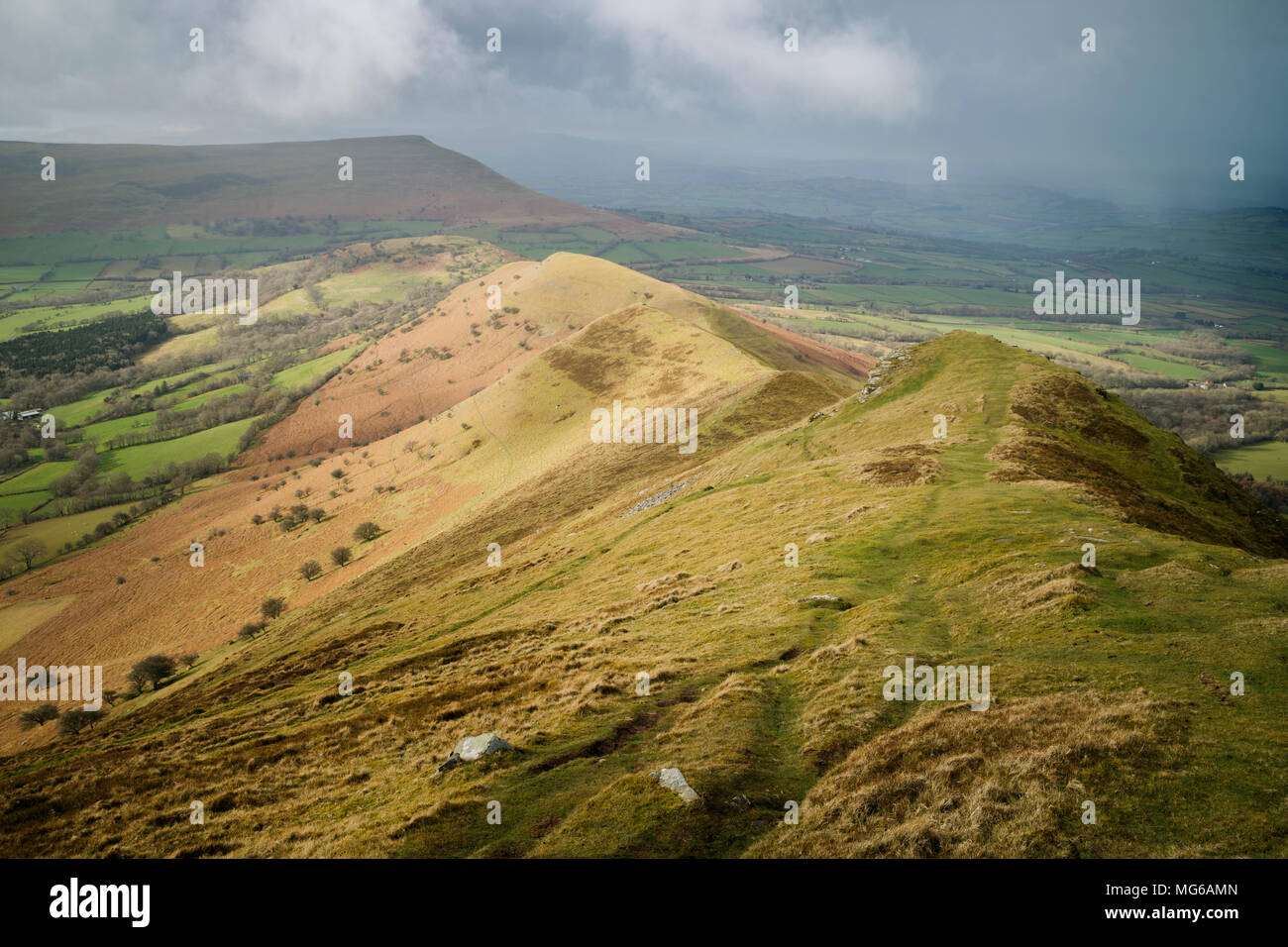 Grib hi-res stock photography and images - Alamy