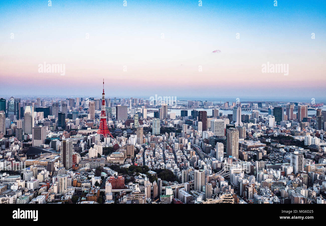 Tokyo Cityscape Tokyo Skyline including the Tokyo Tower Stock Photo - Alamy