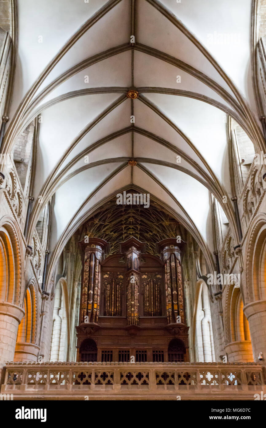 Ceiling gloucester cathedral hi-res stock photography and images - Alamy