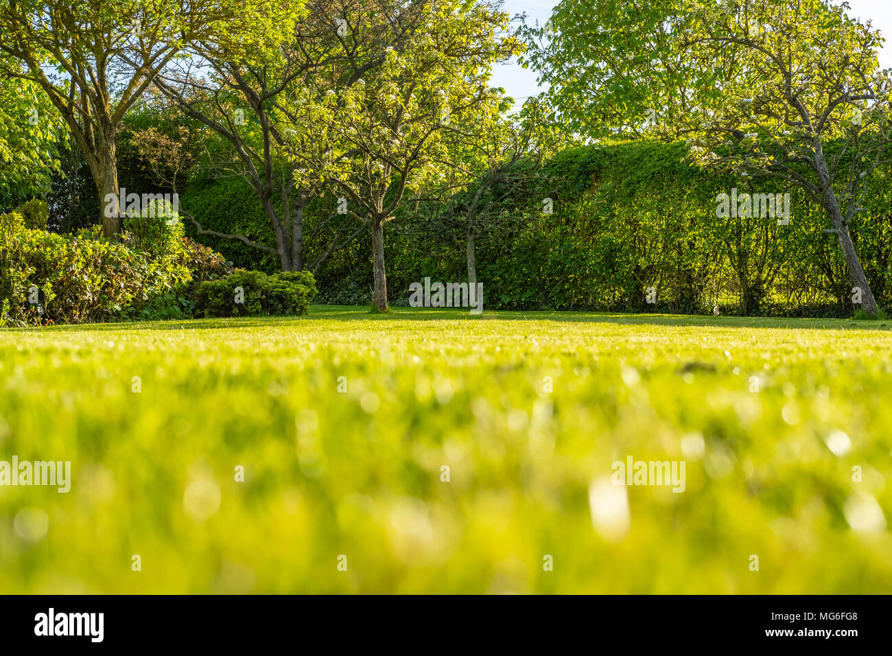 Interesting, ground level, shallow focus image of a large and well-kept ...
