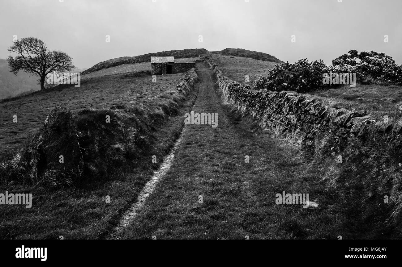 Devon dry stone walls hi-res stock photography and images - Alamy