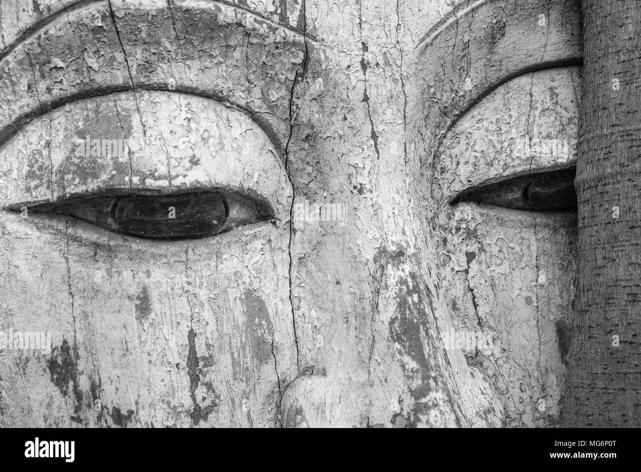 Buddha head in root tree Stock Photo - Alamy