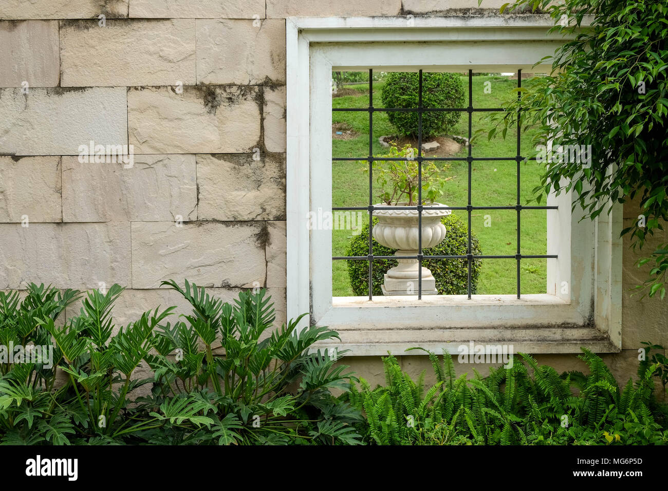 nature concept green trees in the shade garden Stock Photo - Alamy
