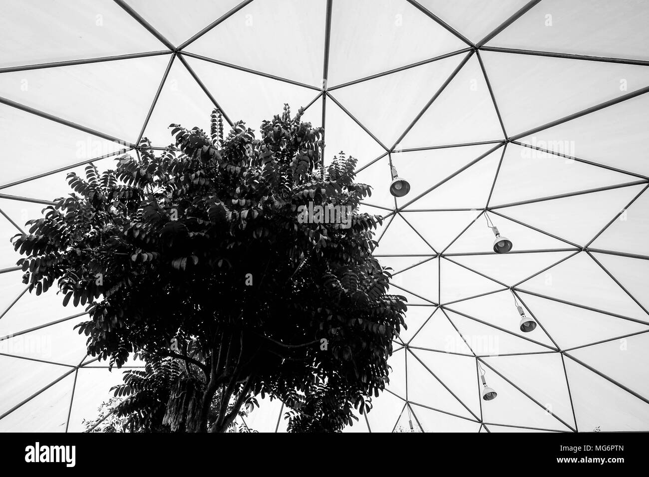 Abstract lines on architecture. modern architecture detail. Refined ...