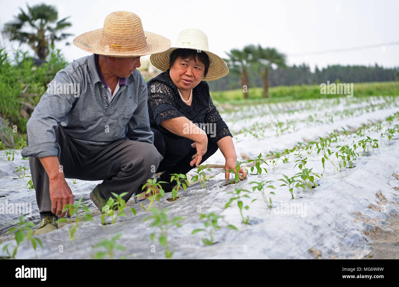 Zou province hi-res stock photography and images - Alamy