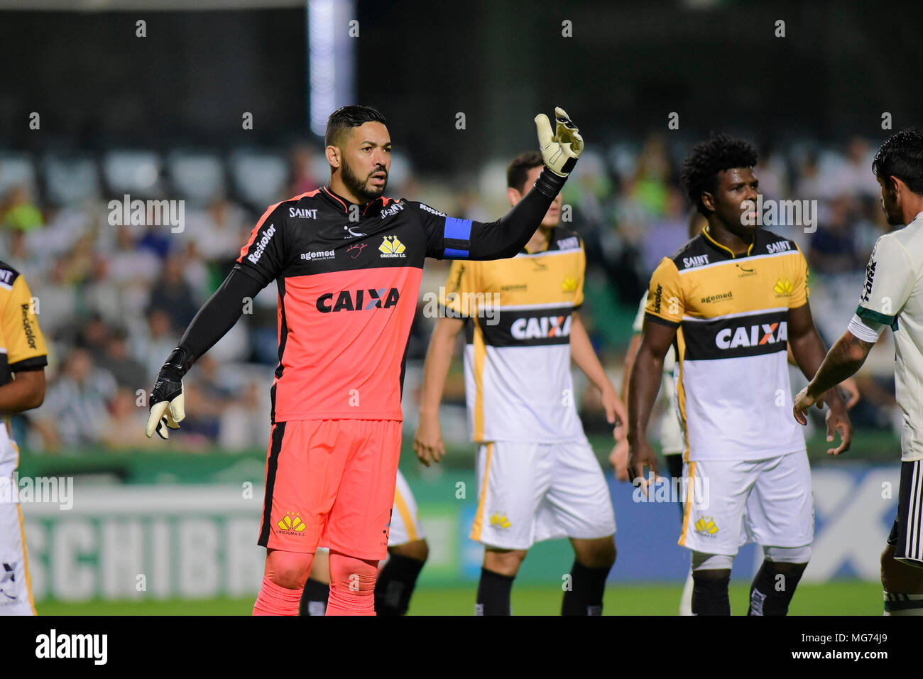 Silva filho hi-res stock photography and images - Alamy