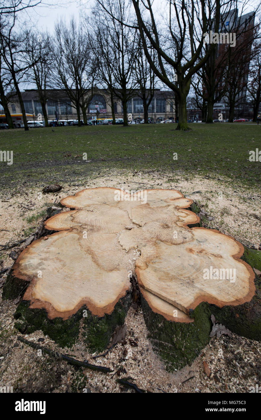 Dammtor park hi-res stock photography and images - Alamy