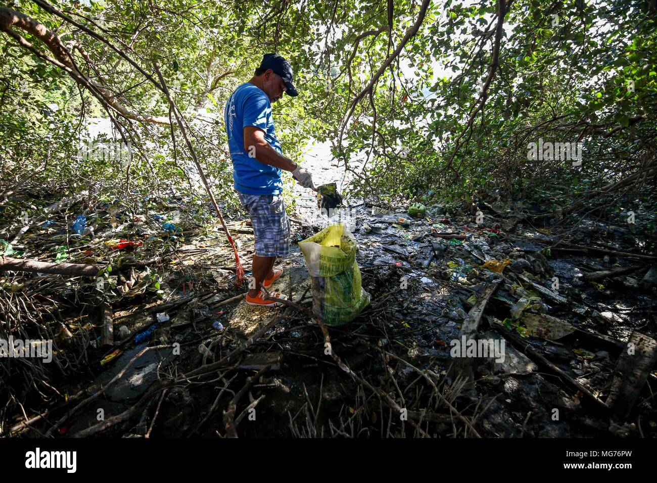 Volunteers pick up trash along the mangrove waterline of Freedom Island ...